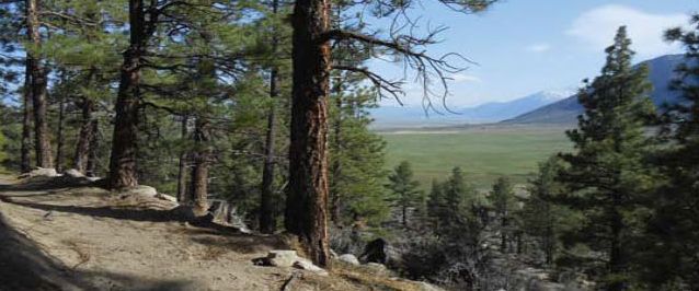 Trails / Maps / Photos – Carson Valley Trails Association